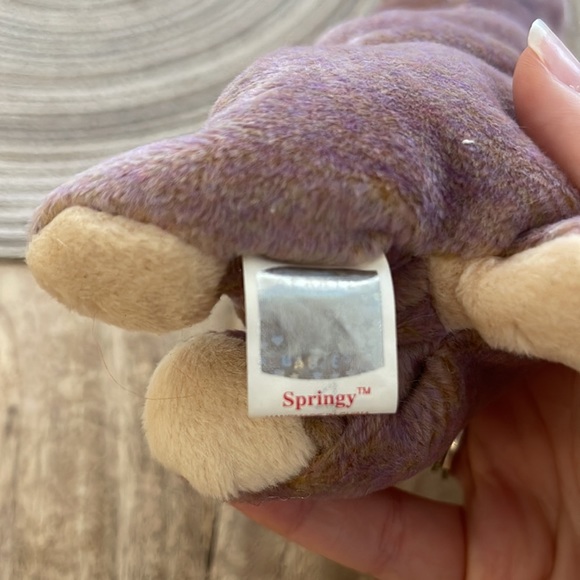 Ty | Toys | Ty Beanie Baby And Teenie Beanie Springy The Rabbit | Poshmark
